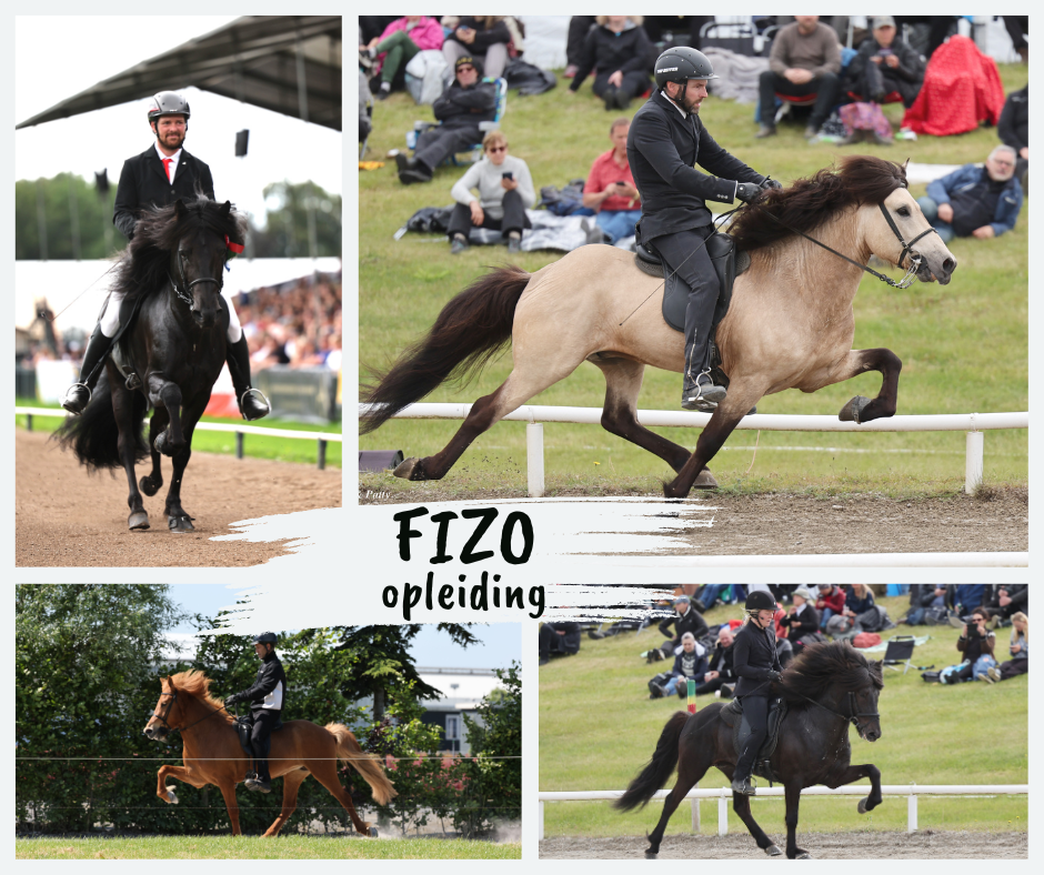 FIZO opleiding | Nederlands Stamboek voor IJslandse Paarden